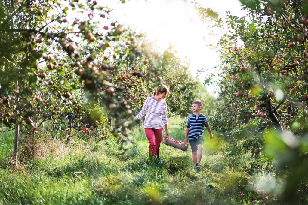 7 Activities to Keep You Moving This Fall - Astym